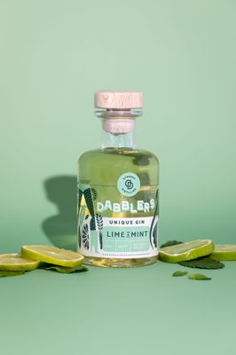 Dabblers Lime & Mint Naturally Infused Gin - 200ml, Gin | Dabblers